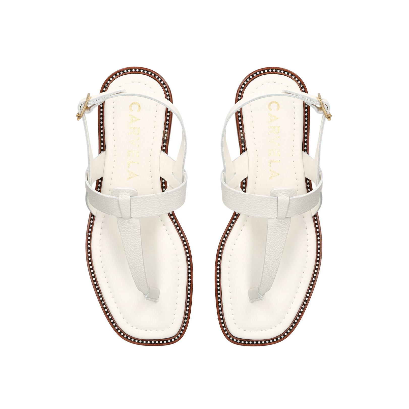 HORIZON - CARVELA Summer